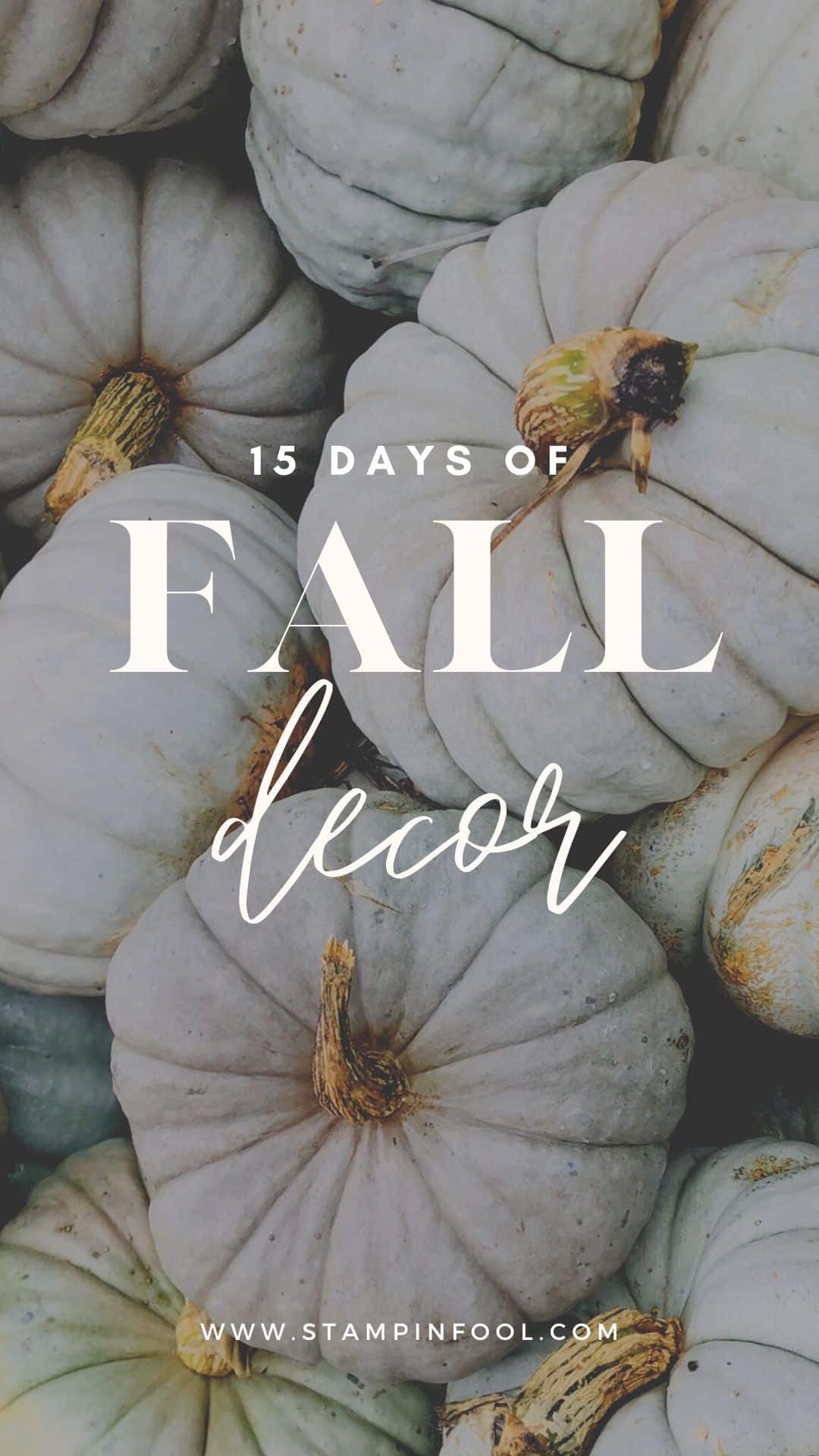 15 Days of Fall (Day 1): Open Your Windows - StampinFool.com