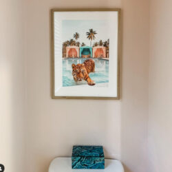 SW Abalone Shell - The Perfect Pink Paint Color